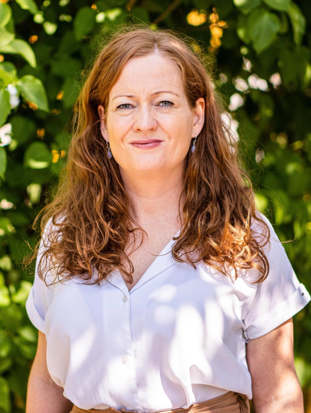 Her er forfatternes tips til sommerbøker | ARK Bokhandel