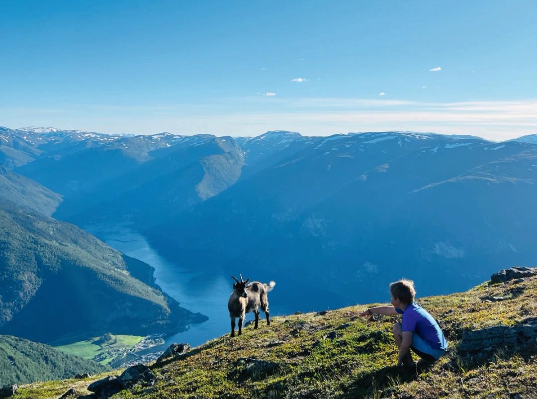Fjelltur med barn: Slik motiverer du barna på tur | ARK Bokhandel