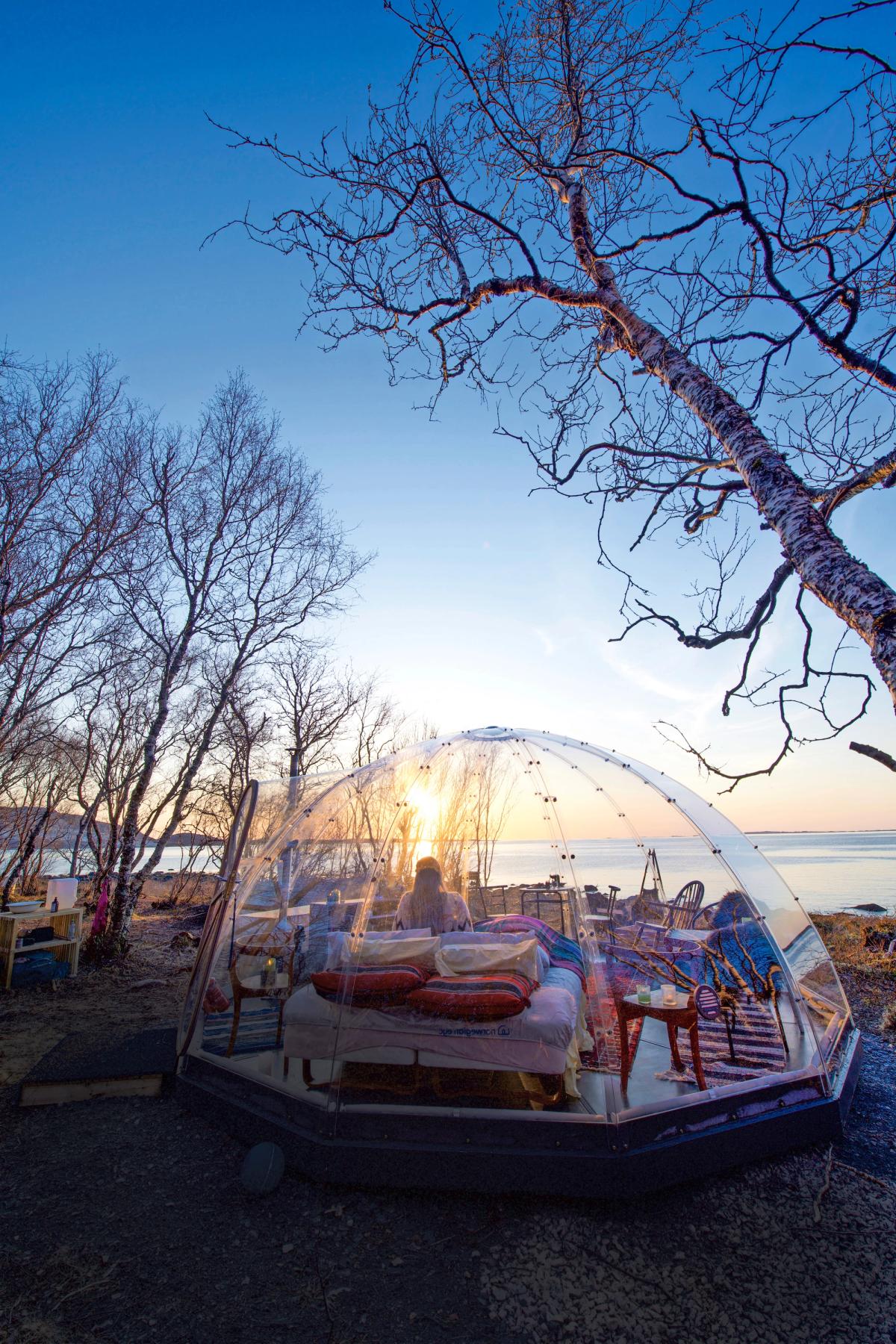 Seks eventyrlige opplevelser i Nord-Norge | ARK Bokhandel