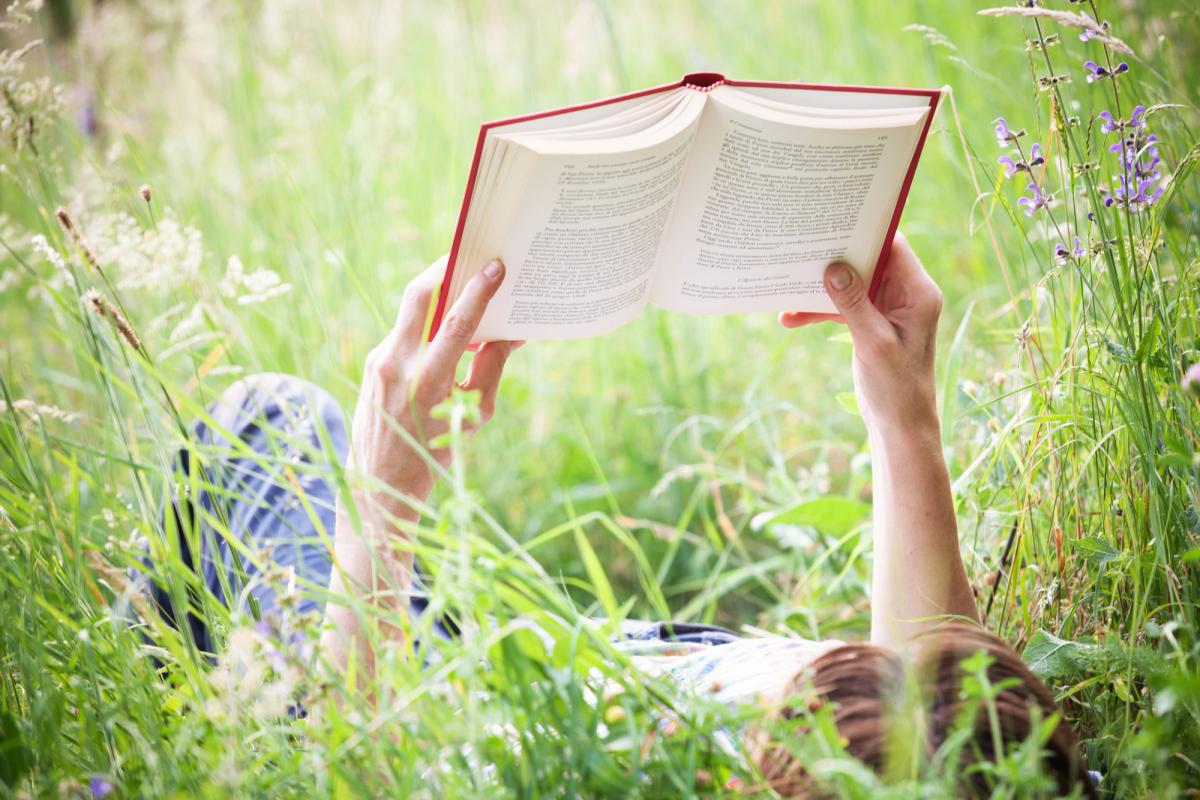 Bøker som lukter sommer! | ARK Bokhandel