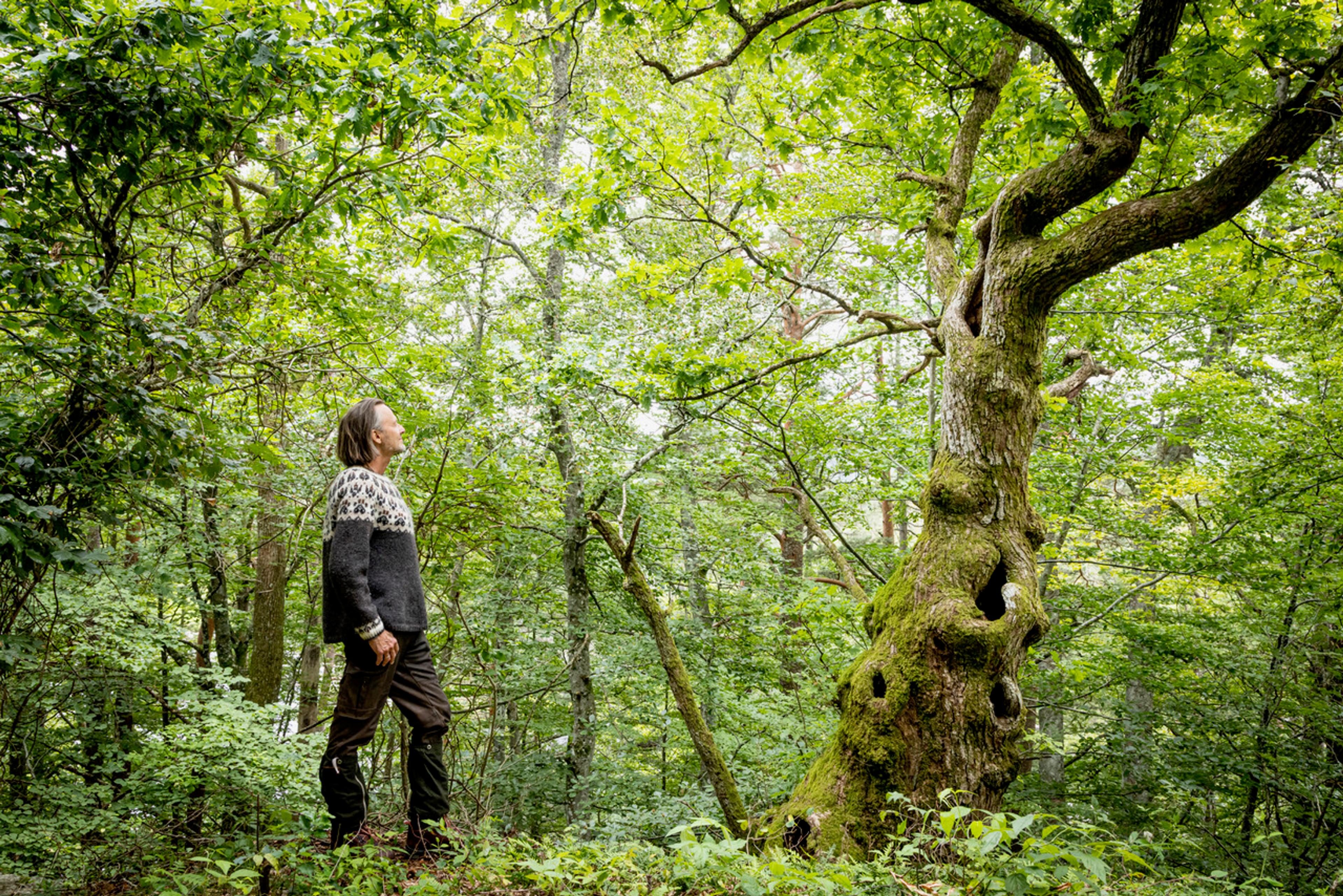 Er du fascinert av ugler og deres mystiske natur? | ARK Bokhandel