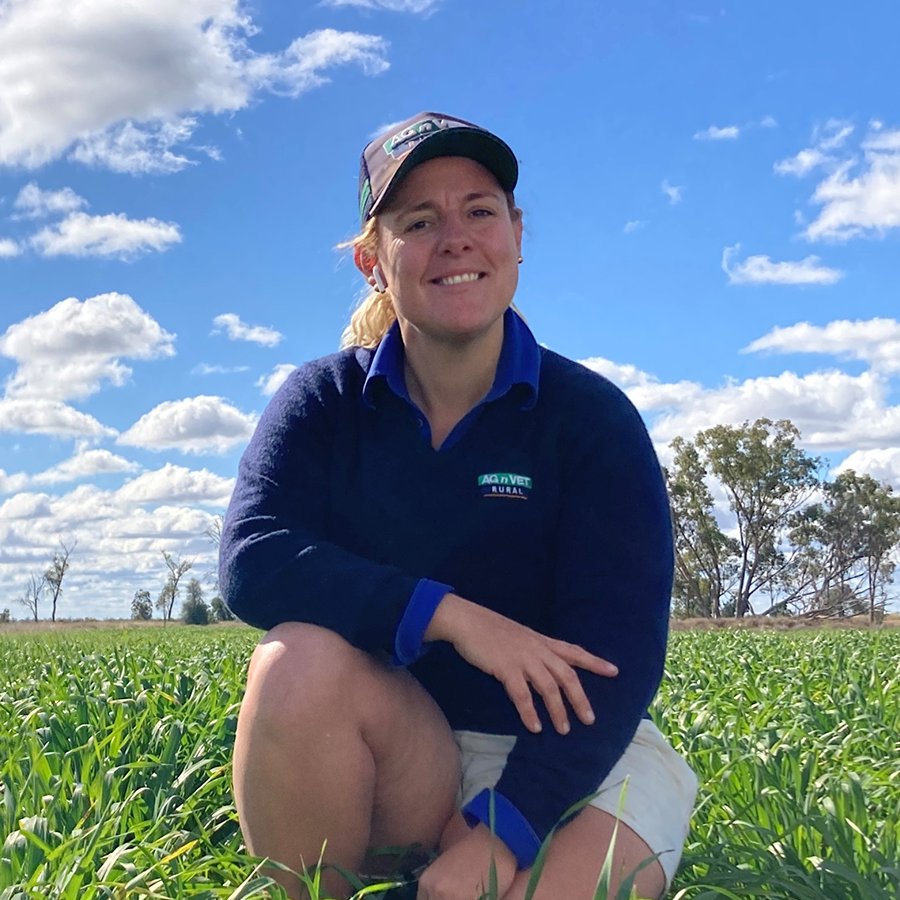 Innovation Generation