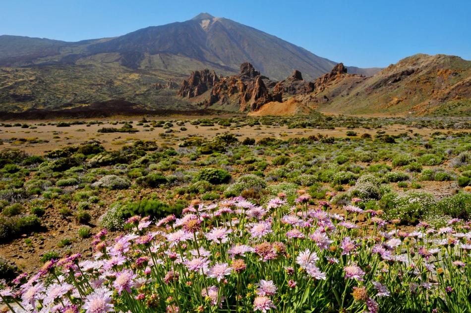 The Kirker Music Festival, Tenerife | Kirker Holidays