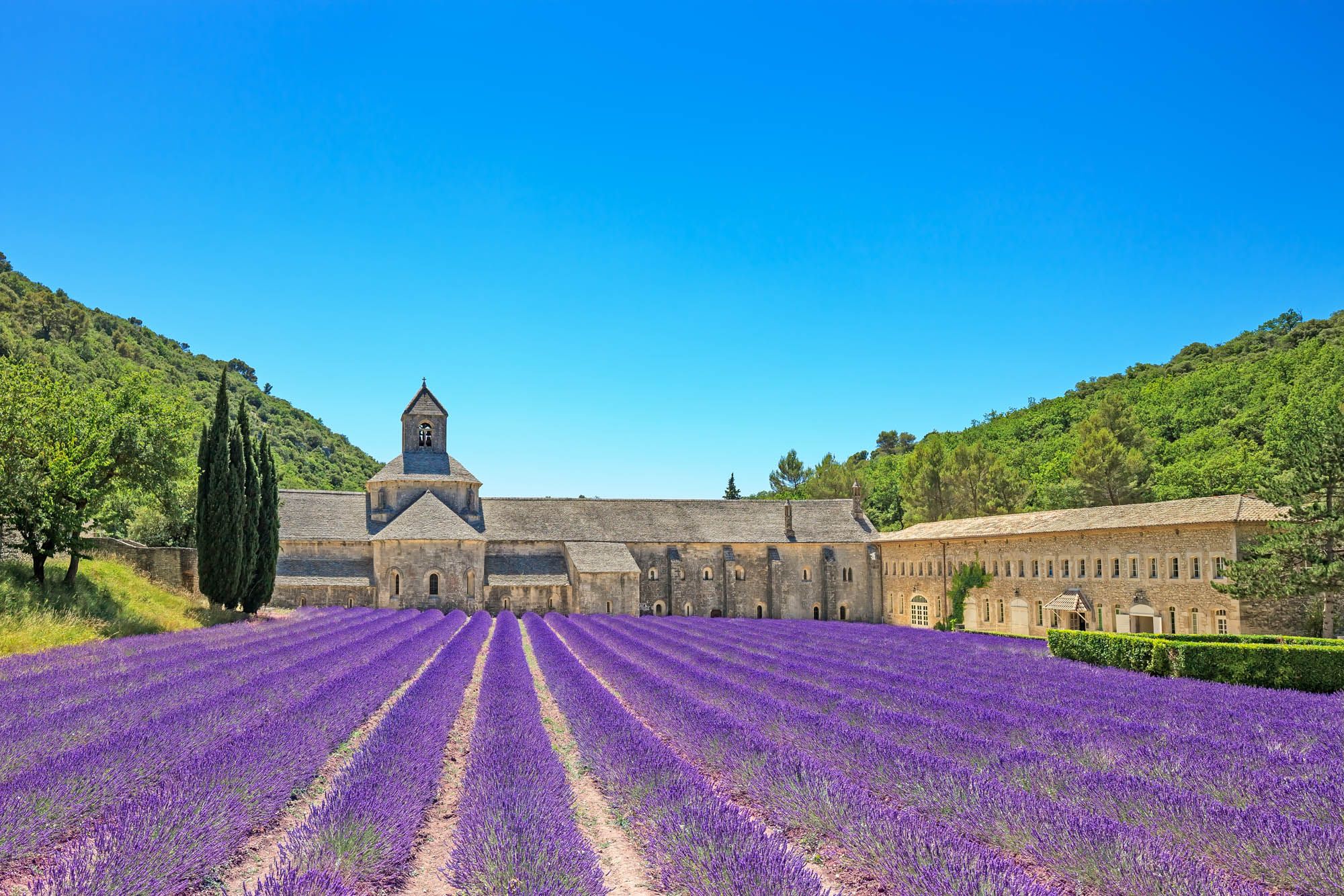 Provencal Countryside | Kirker Holidays