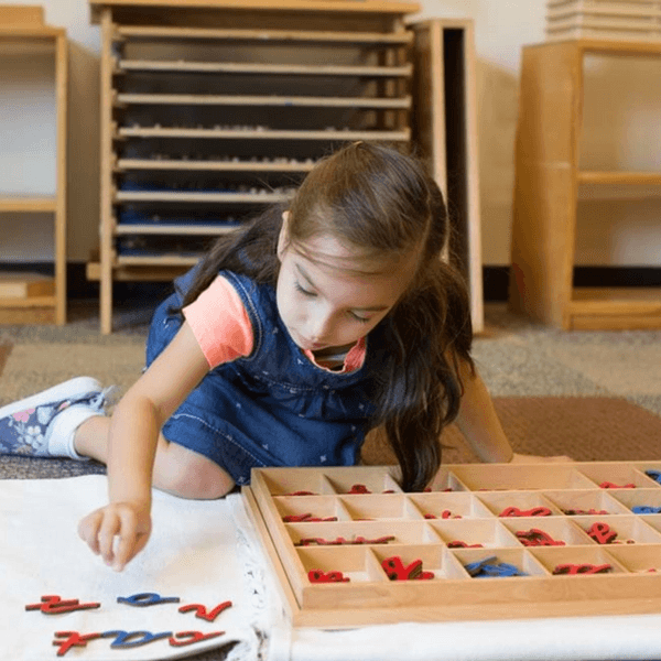 What Is the Role of an Assistant Guide?