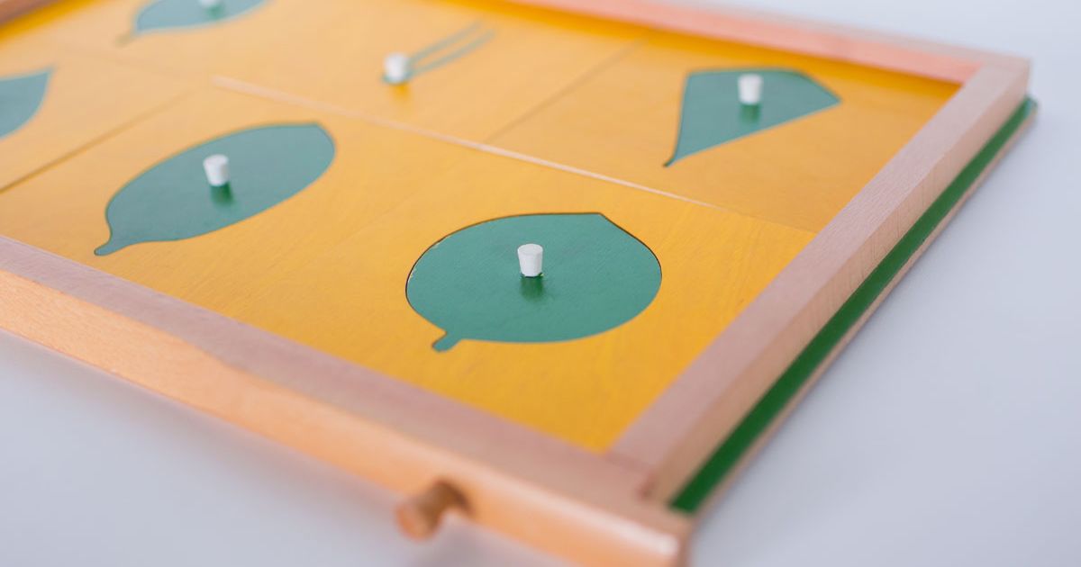 Montessori Botany Cabinet Leaf Shapes | Cabinets Matttroy