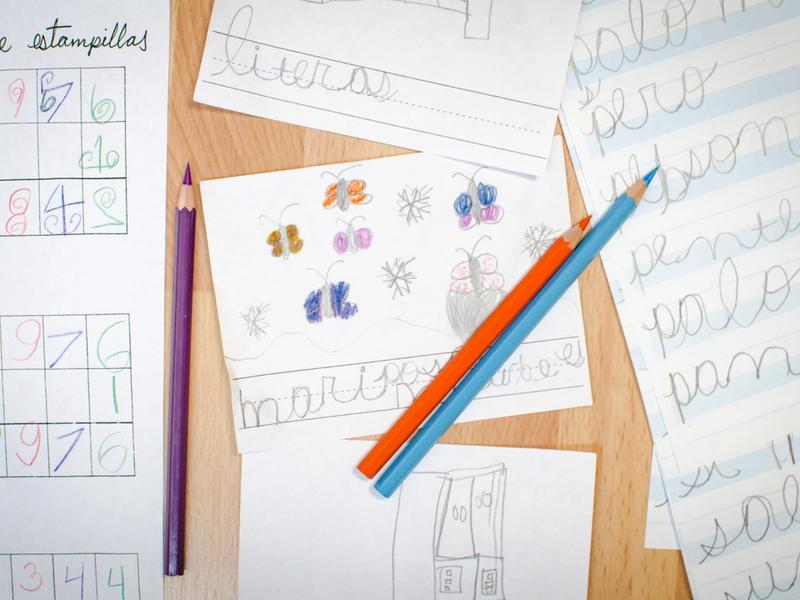 Everything You Want to Know About Language Immersion