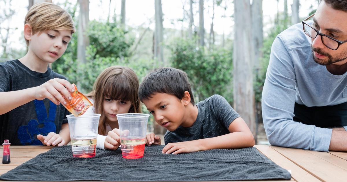 School Partnership Program