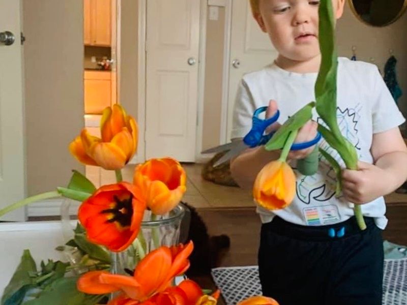 Montessori at Home: Practical Life