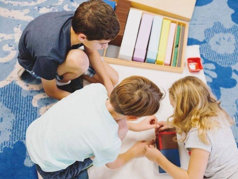 Collaboration Is a Hallmark of the Elementary Montessori Classroom