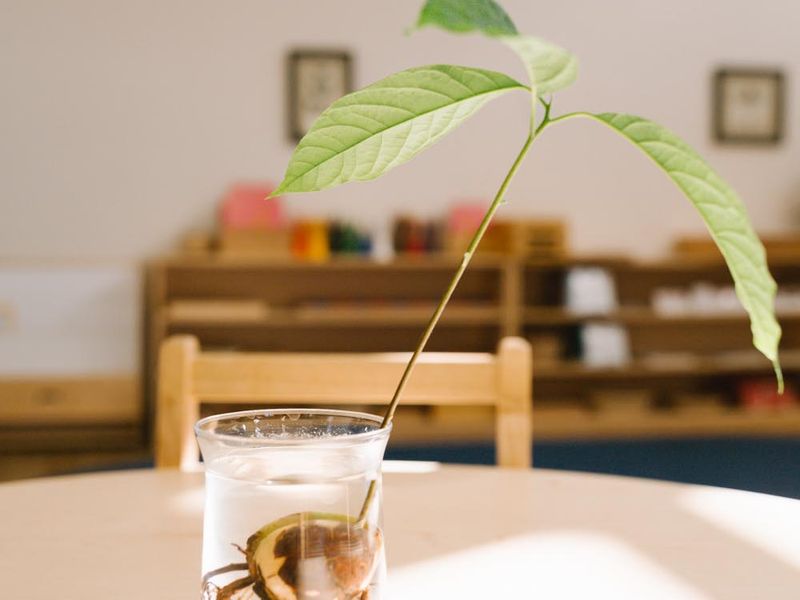 Elementary Series: The Peace Table as a Means of Conflict Resolution