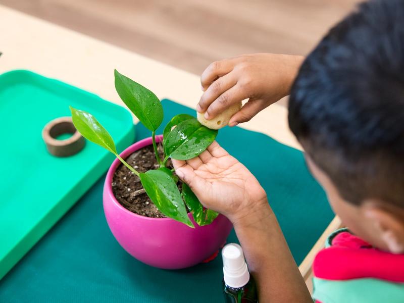 How To Implement Practical Life at Home