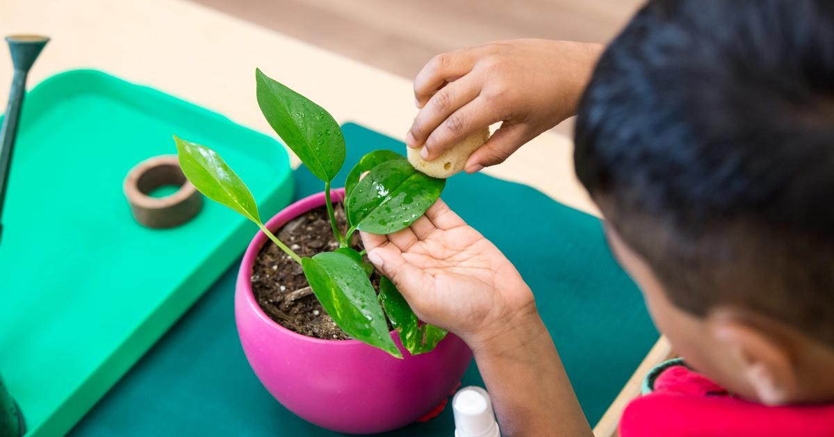 How To Implement Practical Life at Home