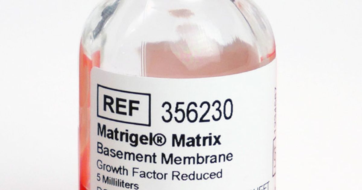 Corning® Matrigel® Growth Factor Reduced (GFR) Basement Membrane Matrix ...