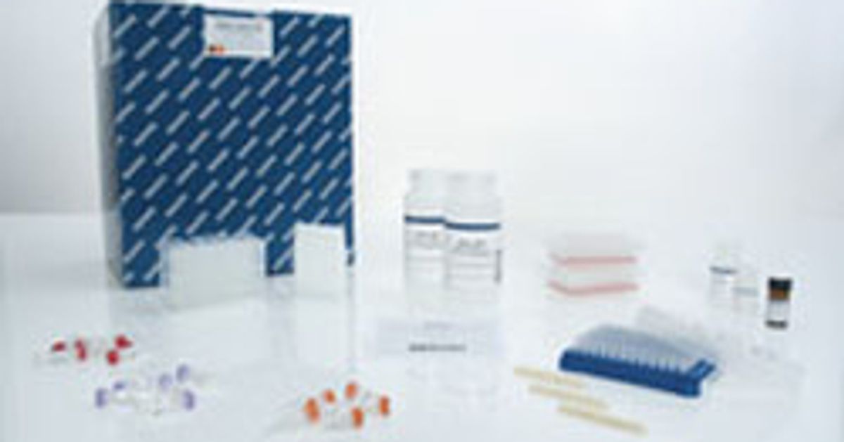 Buy QIAamp One-For-All Nucleic Acid Kit (12) Read Reviews