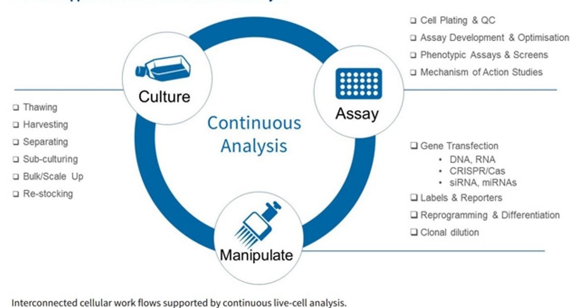 Workflow Applications of Continuous Live Cell Imaging