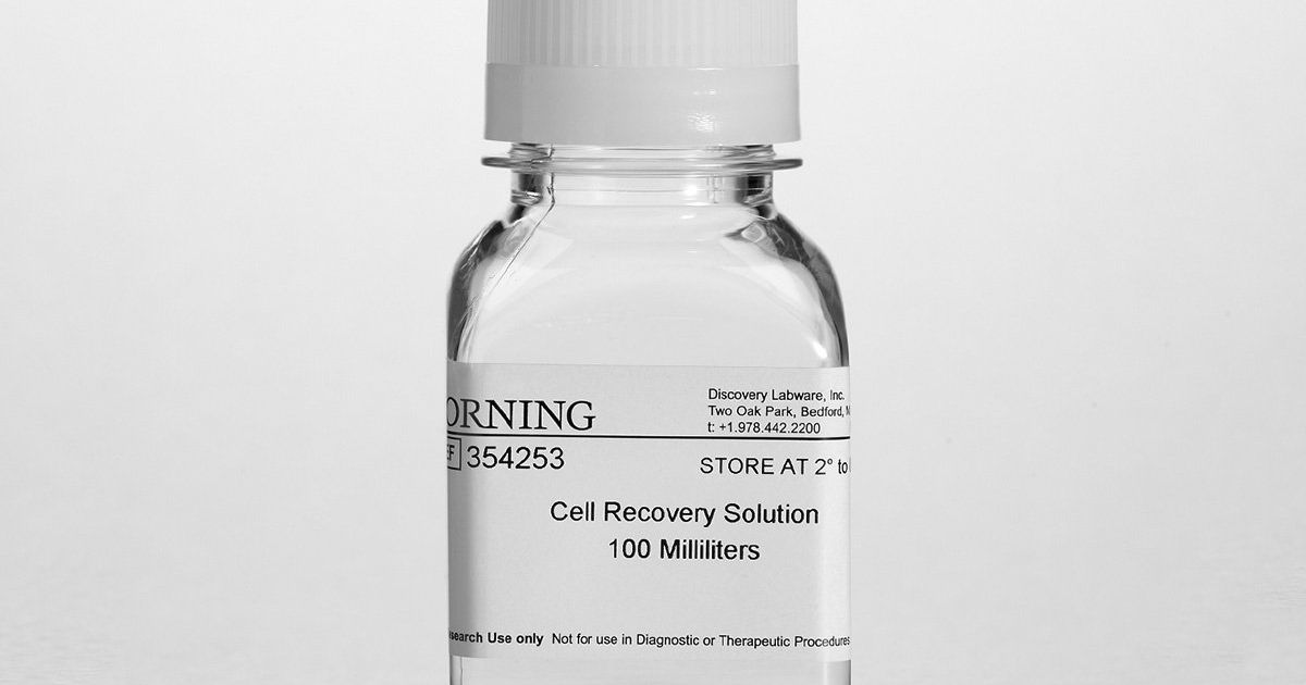 Corning® Cell Recovery Solution, 100 mL