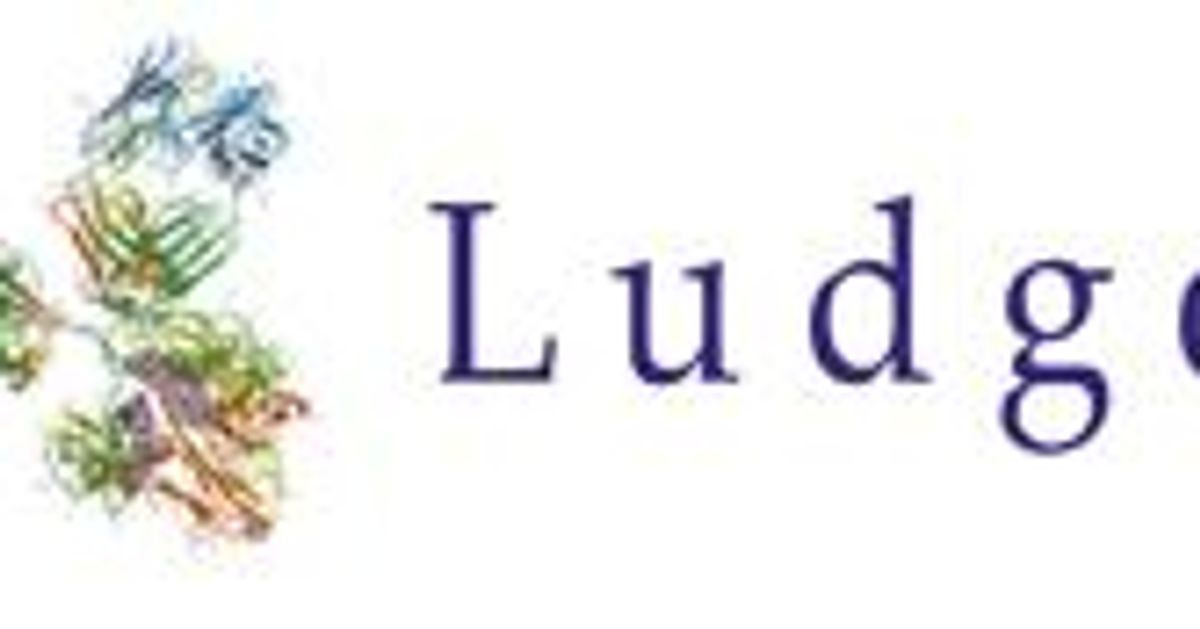 New LudgerTag™ 2AB and 2AA Glycan Labeling Kits with Non Toxic Reductant