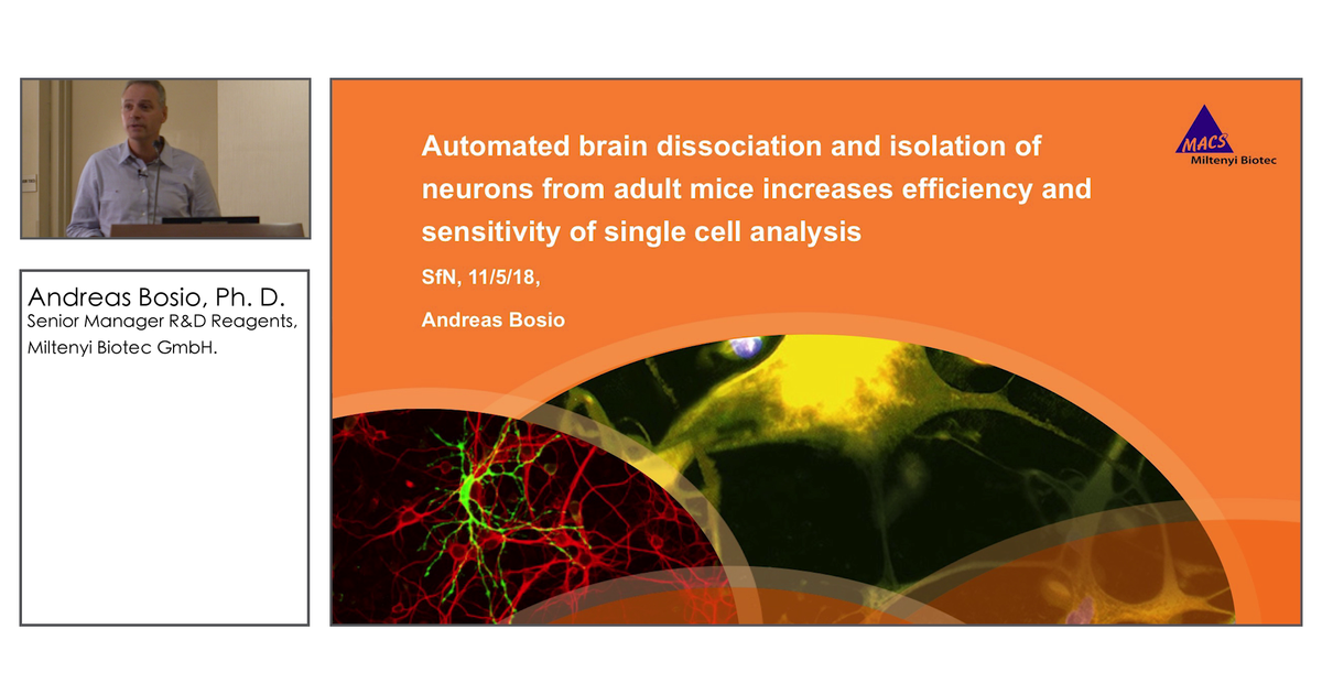 Automated Brain Dissociation and Isolation of Neurons for Efficient Single Cell Analysis