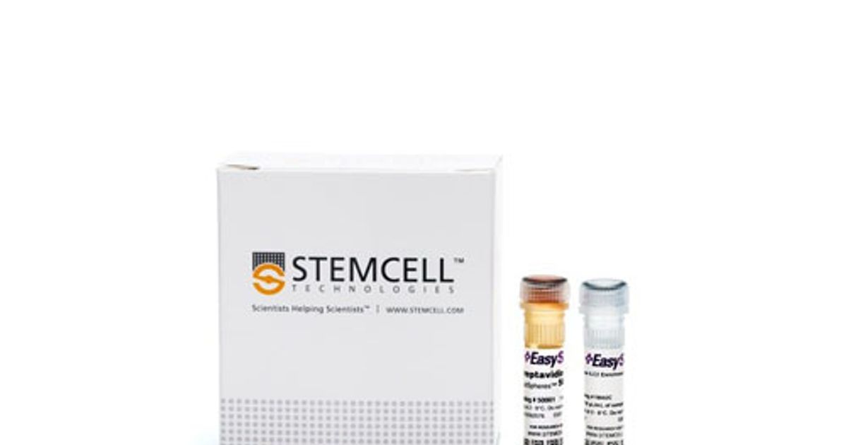 Buy EasySep™ Mouse ILC2 Enrichment Kit Read Reviews