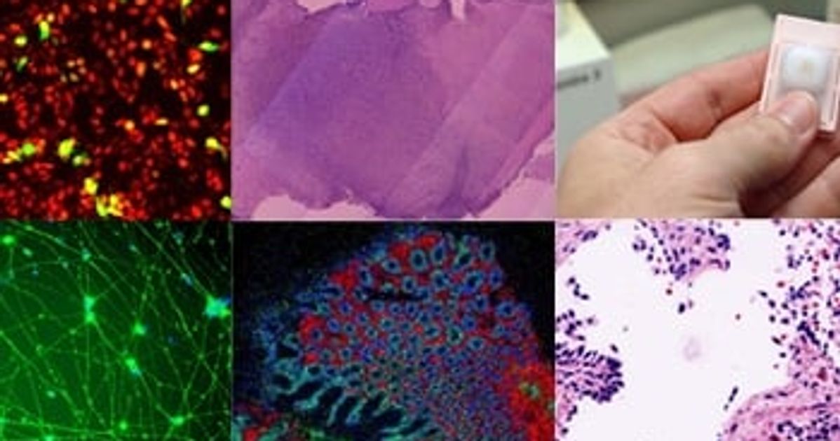 10 Best Life Sciences Interviews of 2017