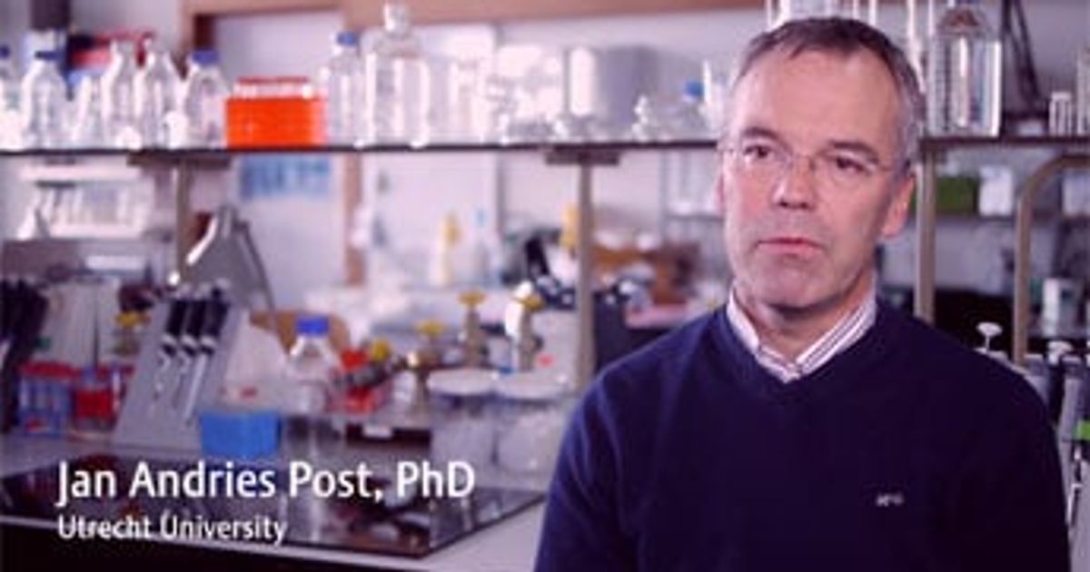 Visualizing Cell Biology with an Integrated Light and Electron Microscope