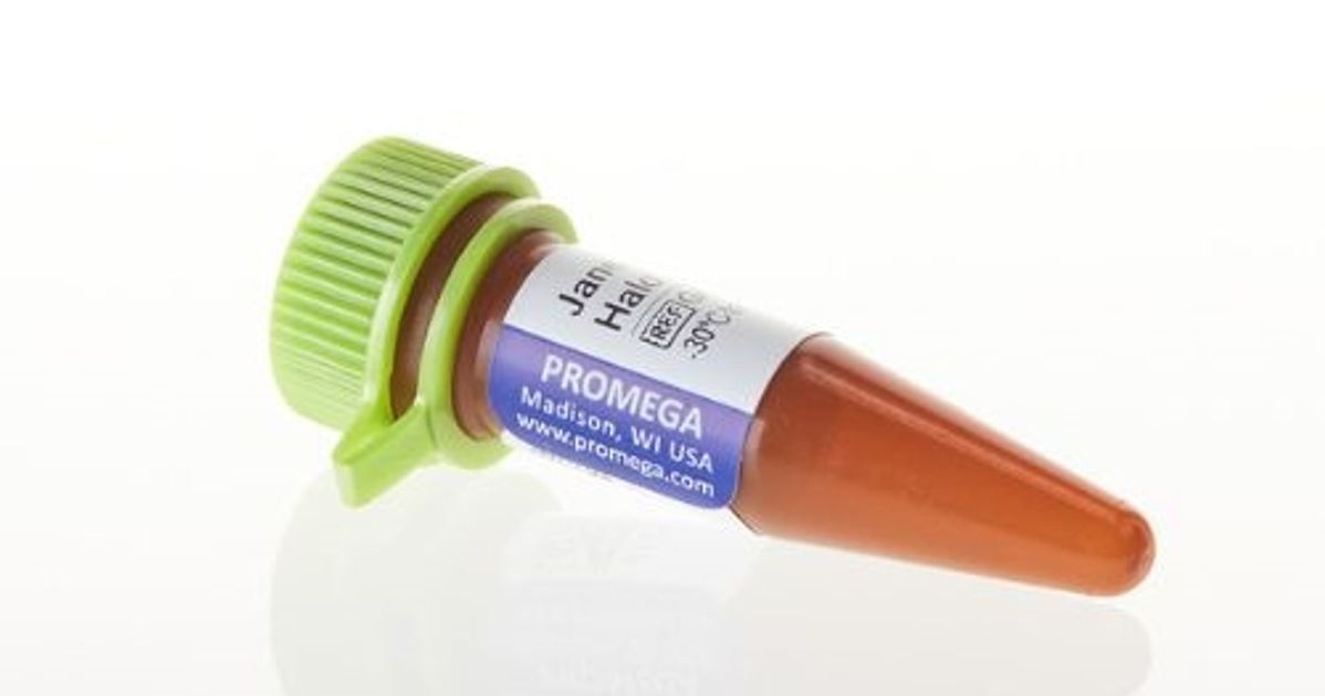 Janelia Fluor® HaloTag® Ligands