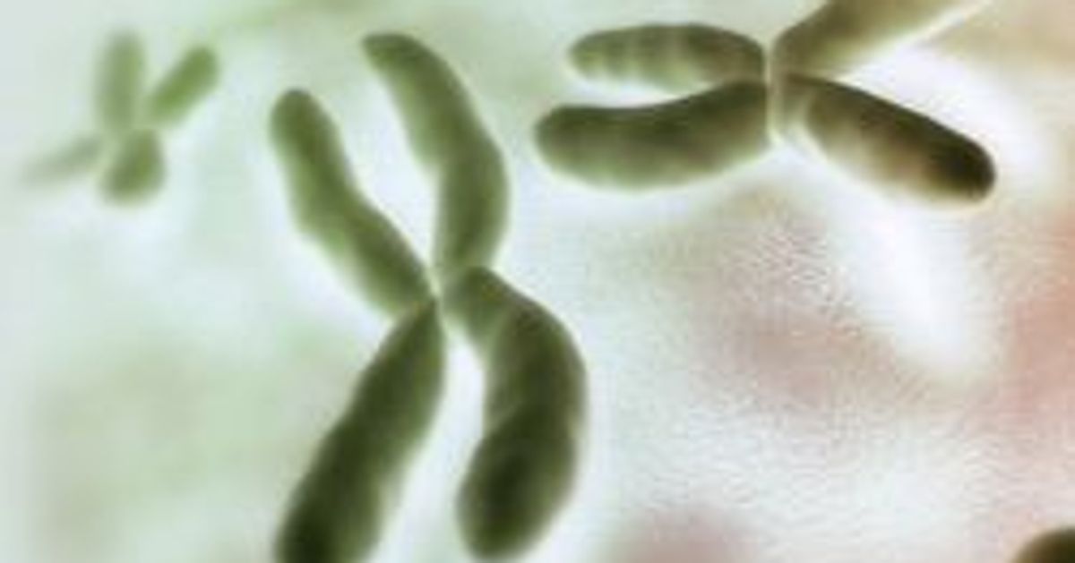 Ariosa Diagnostics Announces Nationwide Launch of Molecular Diagnostics ...