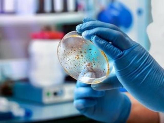 The importance of the right pH in cell culture applications