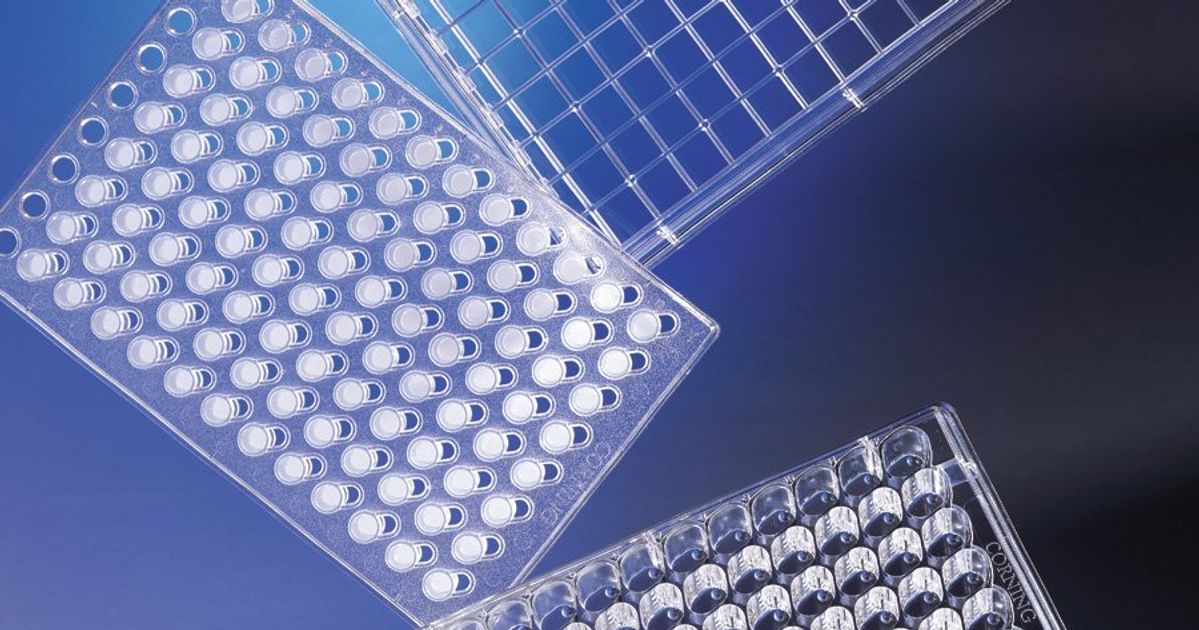 HTS Transwell®-96 Permeable Support with 1.0 µm Pore Polyester Membrane ...