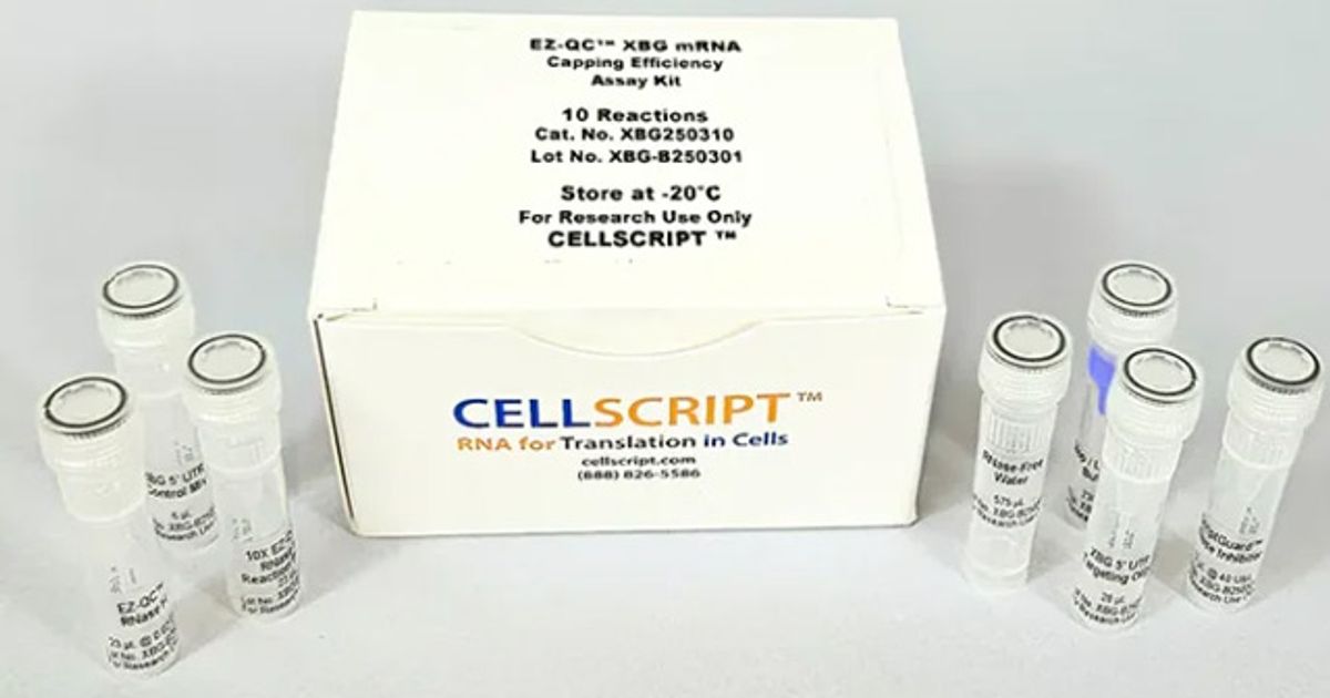 Buy EZ-QC™ XBG mRNA Capping Efficiency Assay Kit Read Reviews