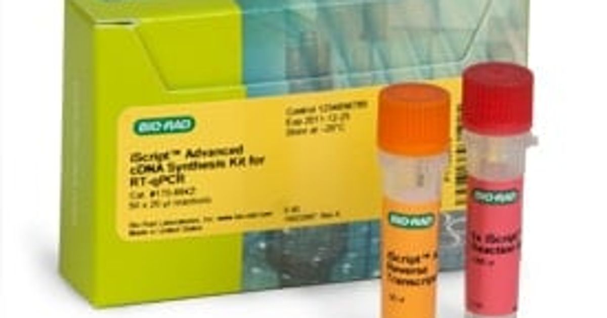 iScript™ Advanced cDNA Synthesis Kit, 25 x 20 µl rxns | SelectScience