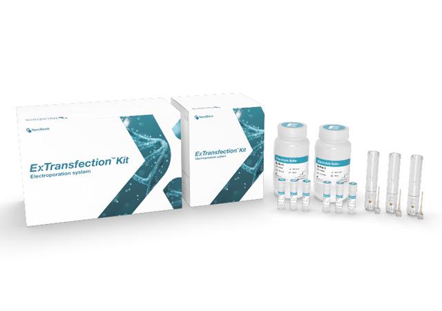 PrimeSTAR® Max DNA Polymerase reviews