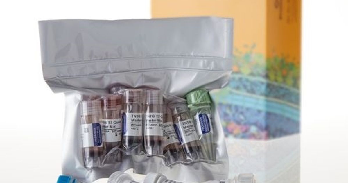 TNT® Quick Coupled Transcription/Translation System reviews