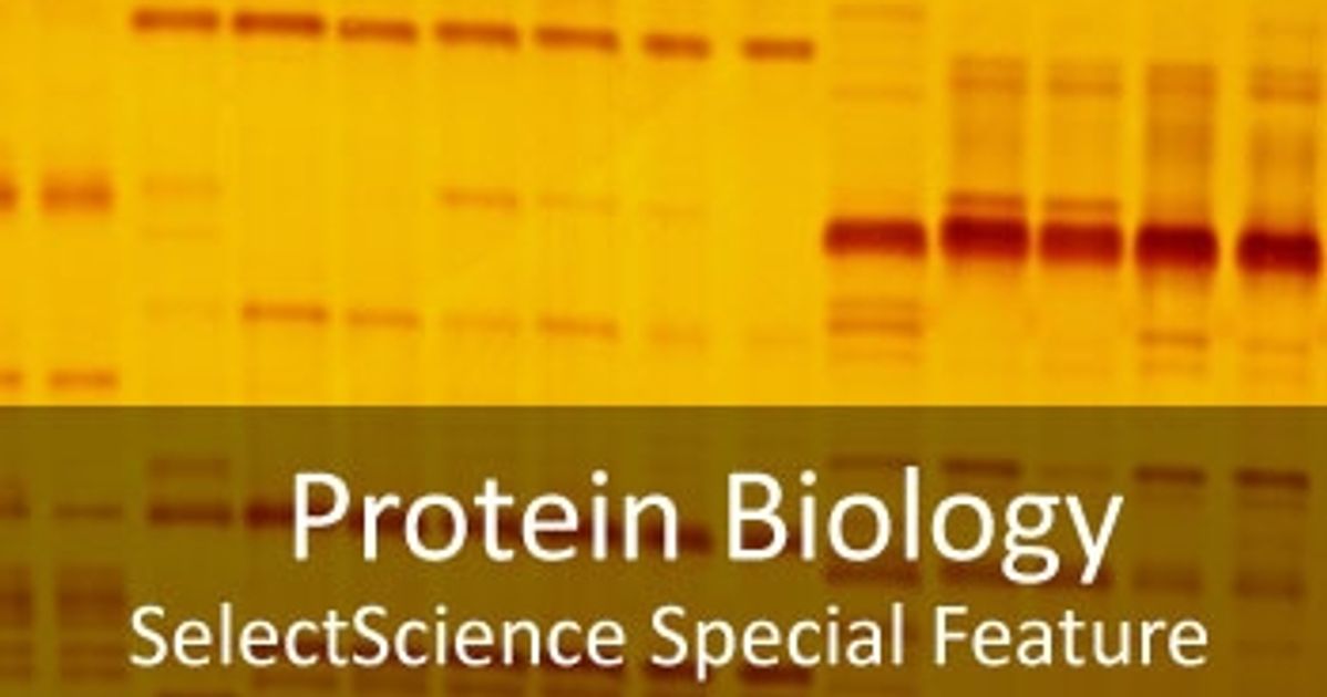 5 Essential Methods to Help Improve Protein-Based Experiments