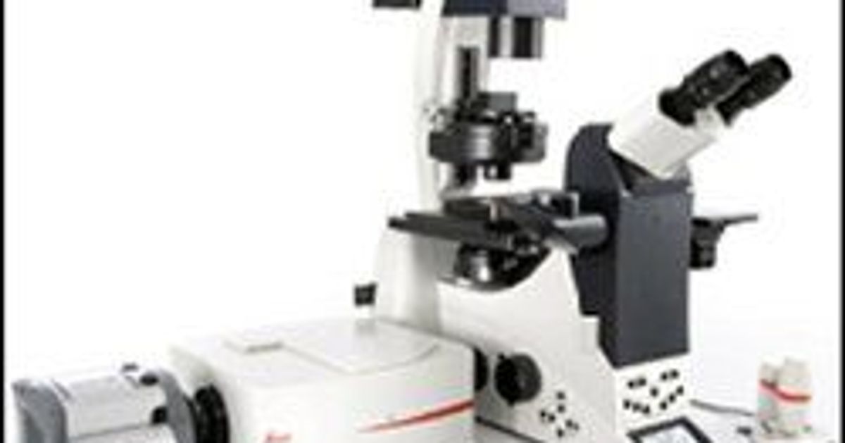 New Leica SD6000 Spinning Disk Confocal Provides Real Time Imaging of ...