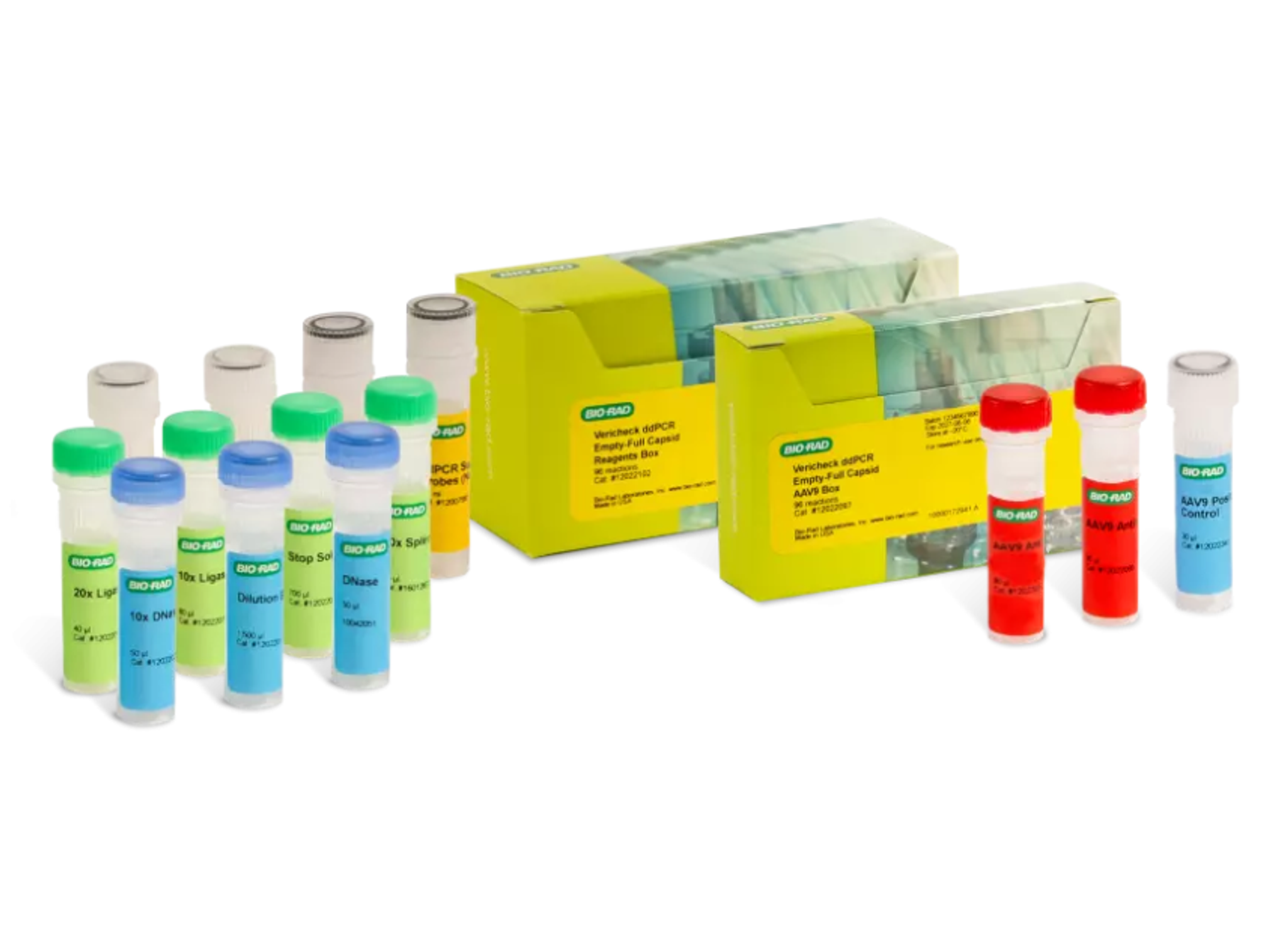 Precision Plus Protein Dual Color Standards #1610374 reviews