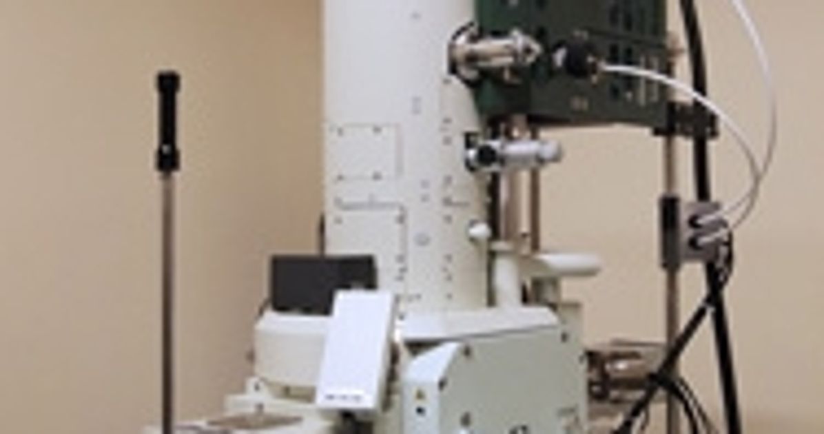 High Throughput Serial Block Face Imaging with JEOL FE SEM and Gatan 3View®