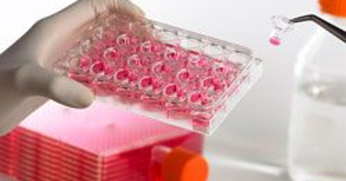 HYPERFlask® and HYPERStack® Featured by Corning Life Sciences