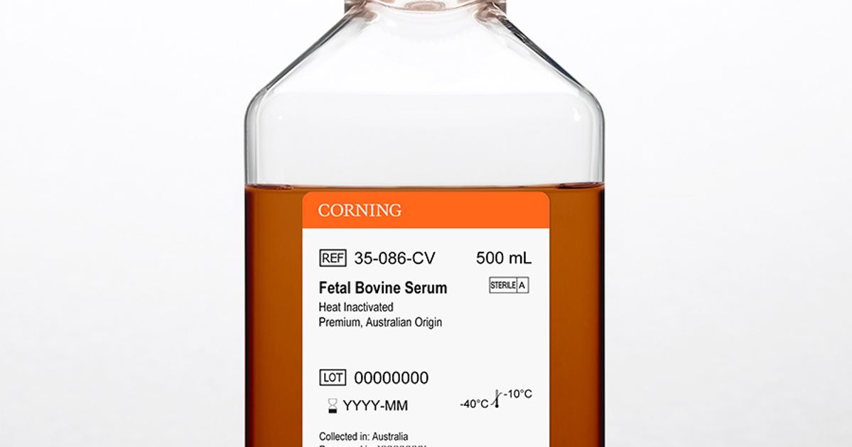 Corning® Fetal Bovine Serum, 500 mL, Premium, Australian Origin (Heat ...