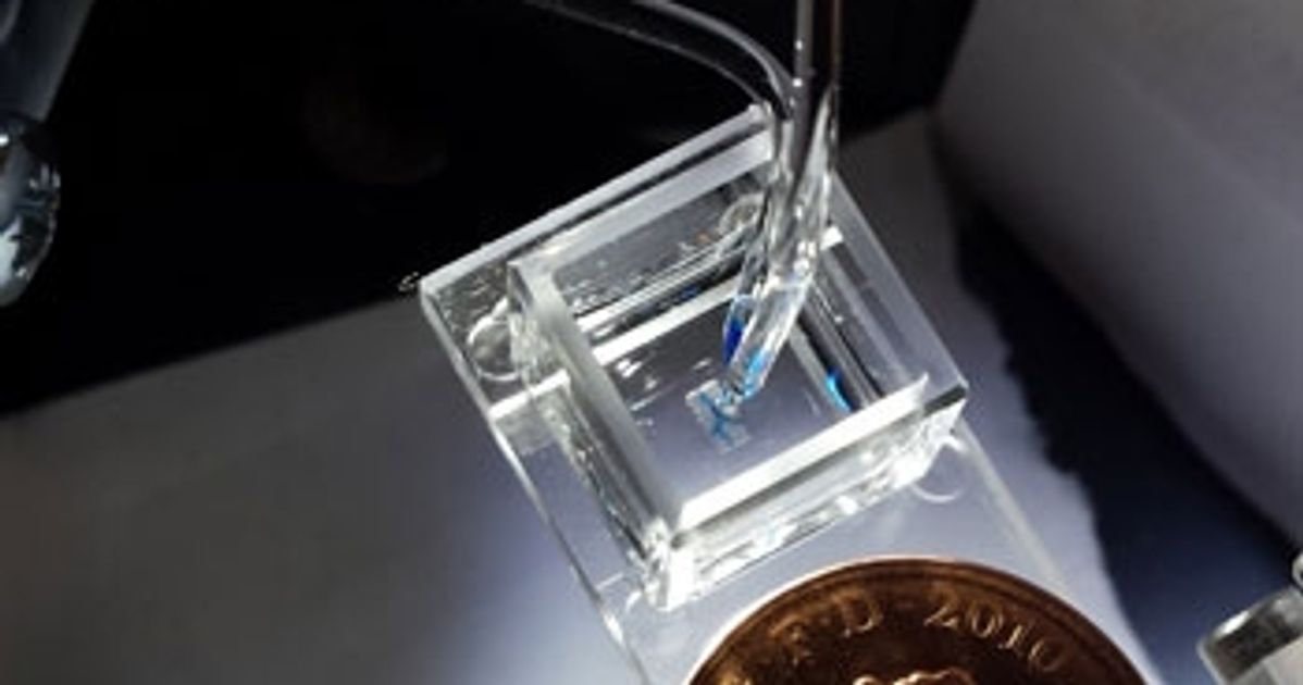 New Method for 3D Printing Laboratory-Grown Cells to Form Living Structures