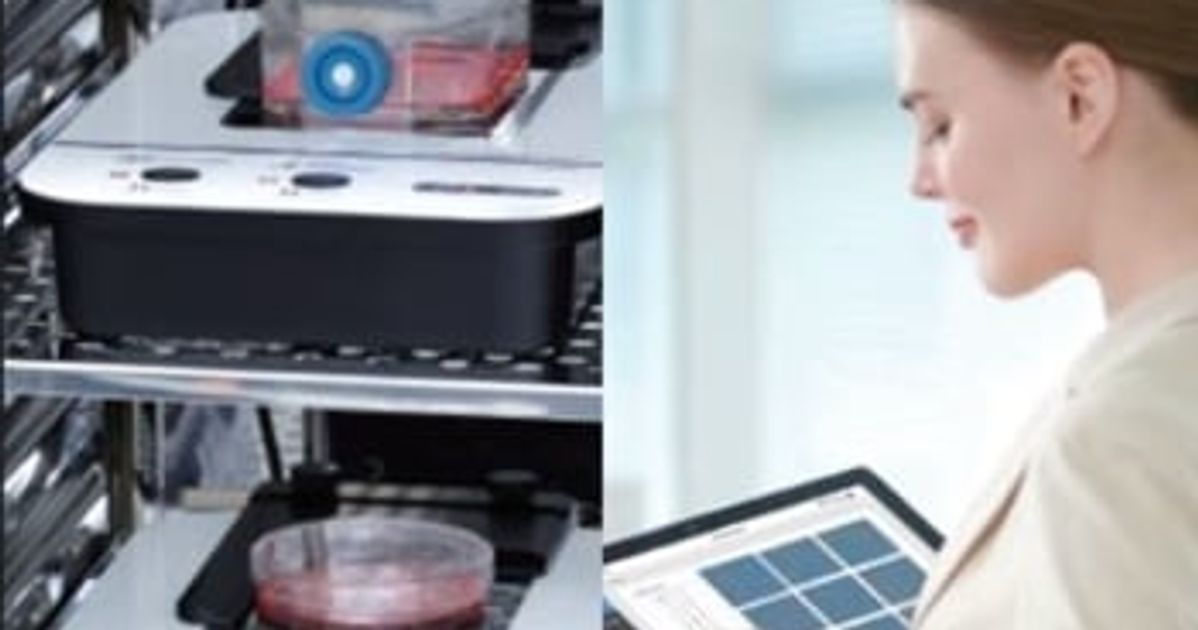 Olympus’ New BX53 Microscope Promises ‘Perfect Color Reproduction’