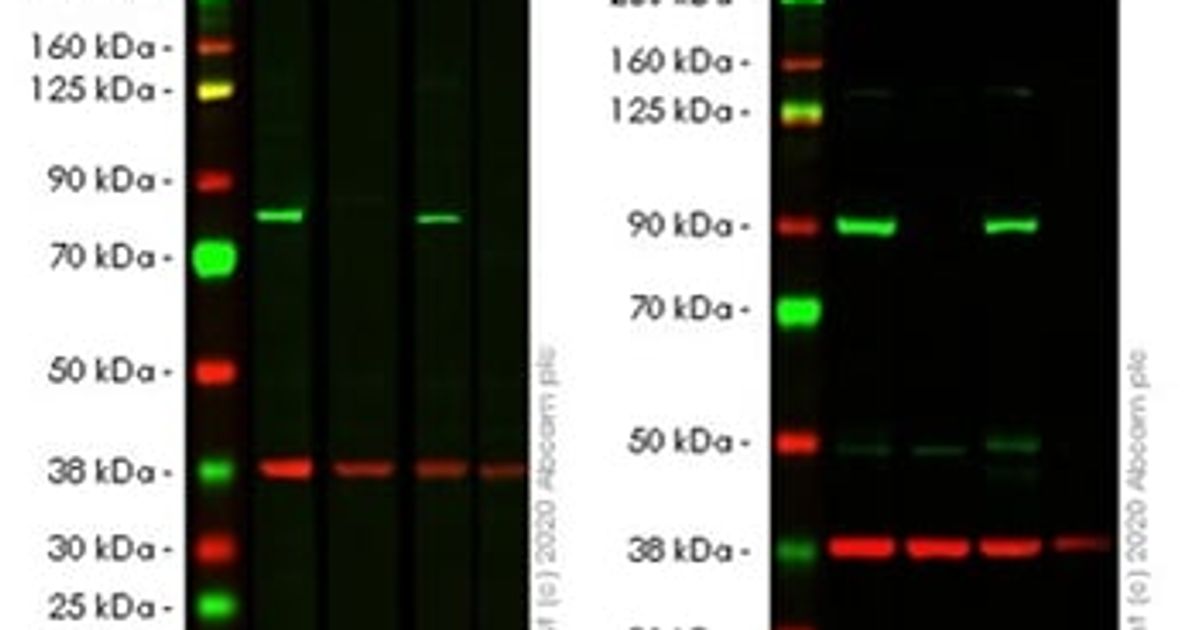 Know your target: How to achieve research success with knockout models