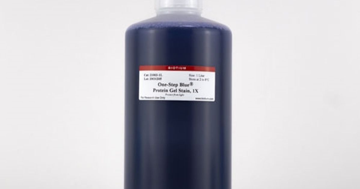 One-Step Blue Protein Gel Stain reviews