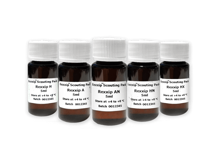 Precision Plus Protein™ Dual Color Standards, 500 µl | SelectScience