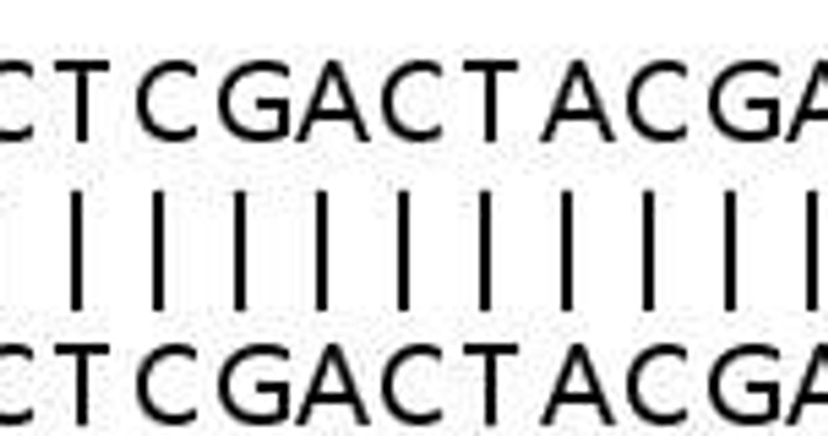 Buy Human MYC knockout HEK293T cell line Read Reviews