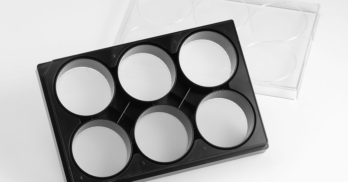 Corning® Elplasia® 6-well Black/Clear Round Bottom Ultra-Low Attachment ...