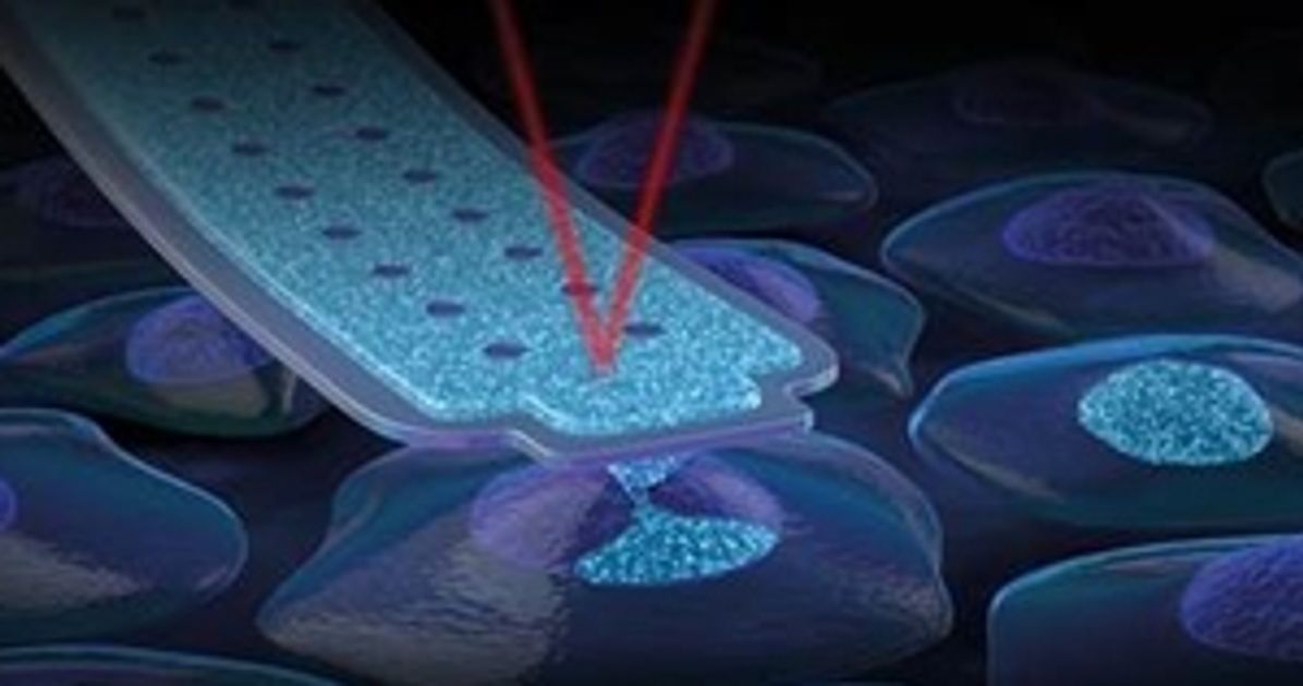 Single-Cell Experiments Reinvented with FluidFM BOT