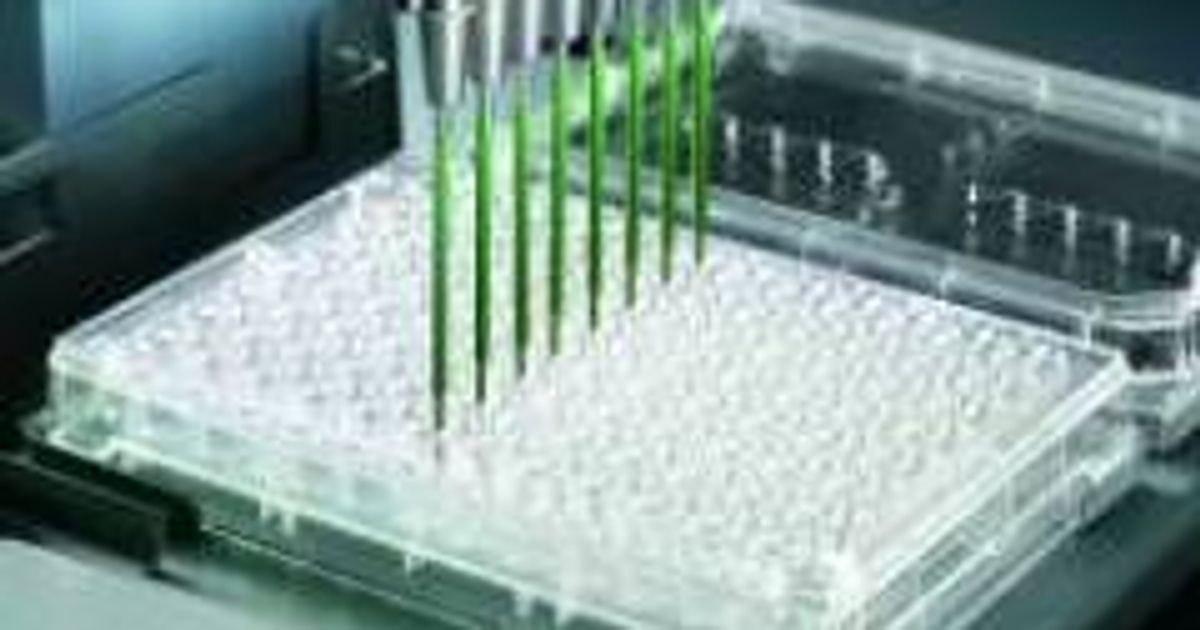 New Validated NAT Methods Provide Rapid Mollicute Screening and ...