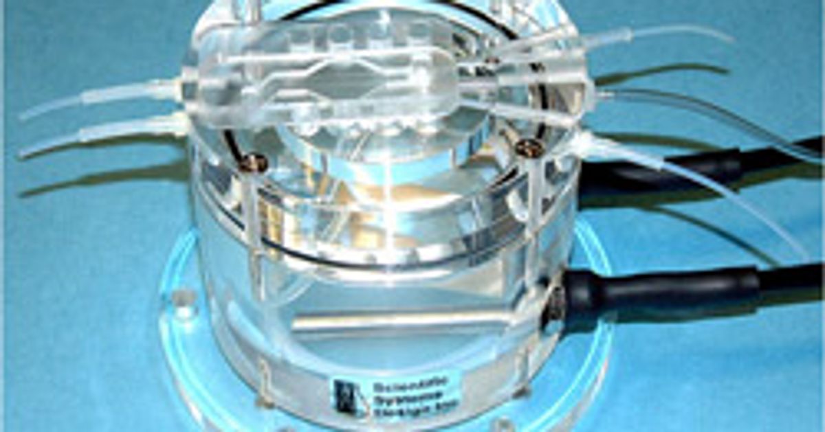 Brain Slice Chamber-2: Interface